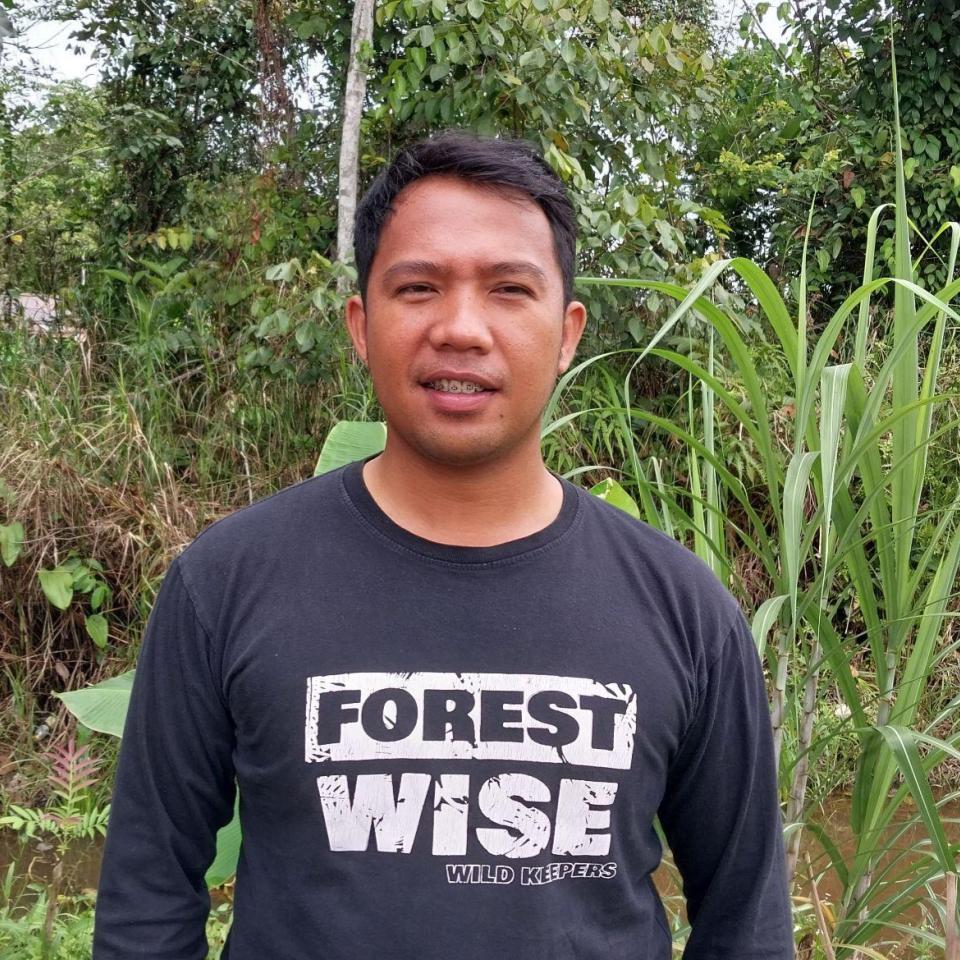 Forestwise - About us